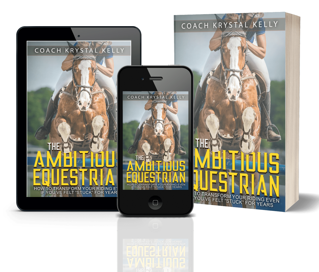 The Ambitious Equestrian Book